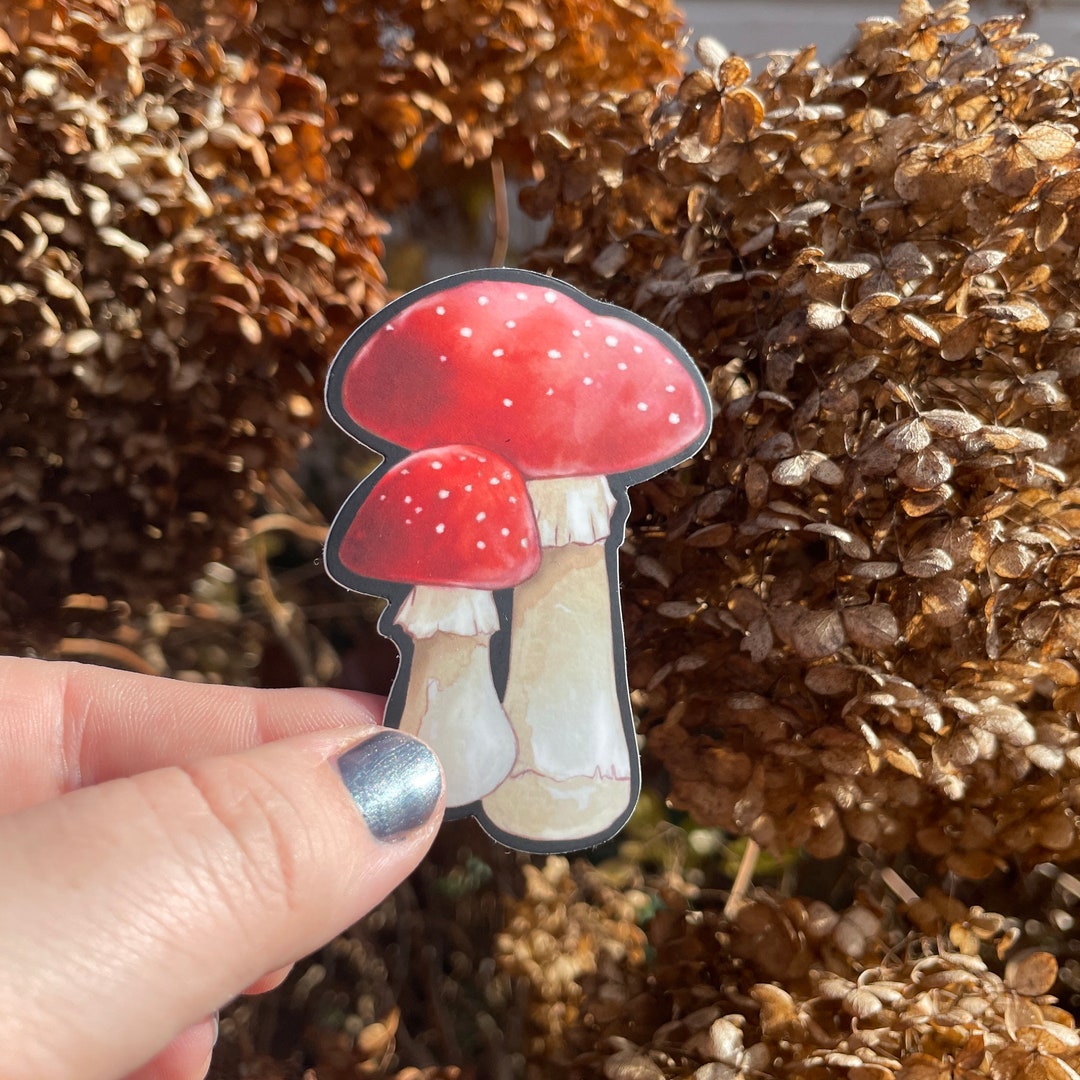 Red Cap Mushroom Sticker: Waterproof Vinyl Nature Decal - Etsy