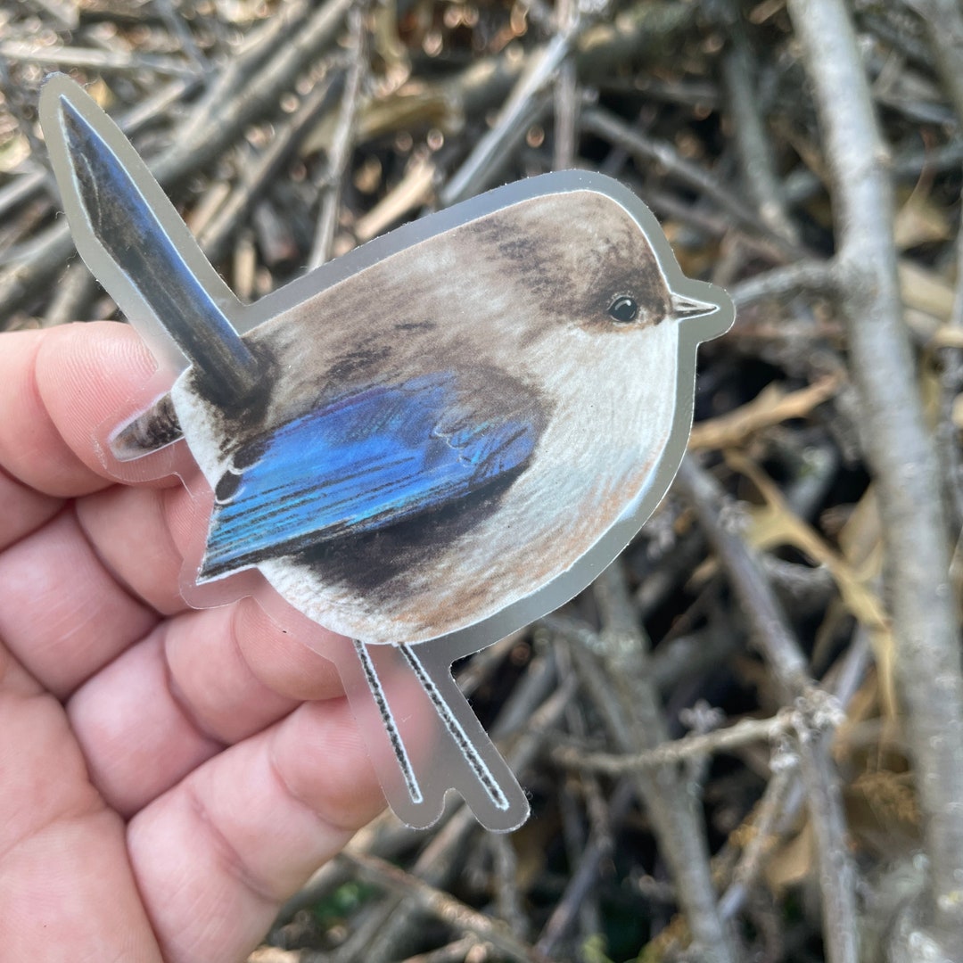 Eastern Bluebird Sticker: Clear Vinyl Waterproof Bird Decal - Etsy