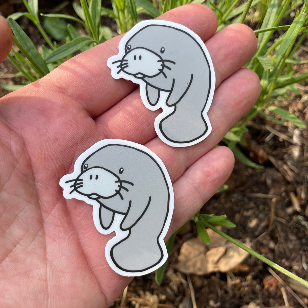 Manatee Vinyl Stickers | Set of Two - Etsy