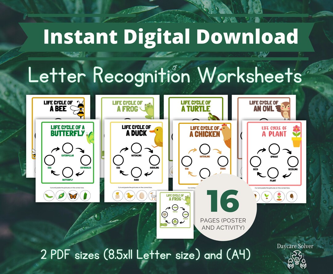 Animal & Plant Life Cycle Cards Cut-out Worksheet Interactive Learning ...