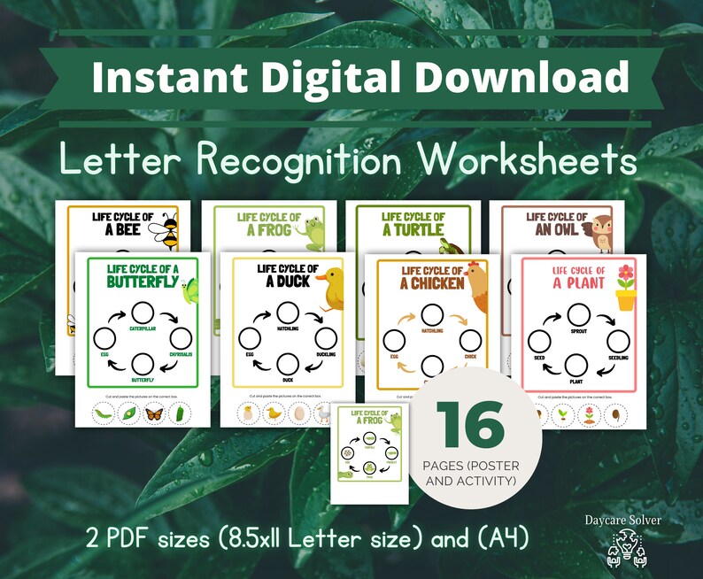Animal and Plant Life Cycle Cards Cut-out Interactive Learning Nature ...