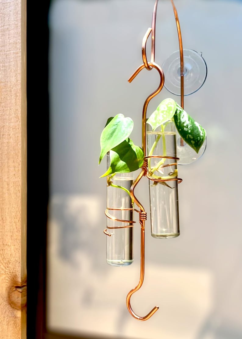 The Holly Hook Window Plant Propagator - Etsy