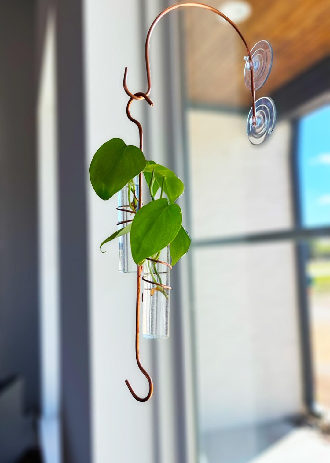 The Holly Hook Window Plant Propagator - Etsy