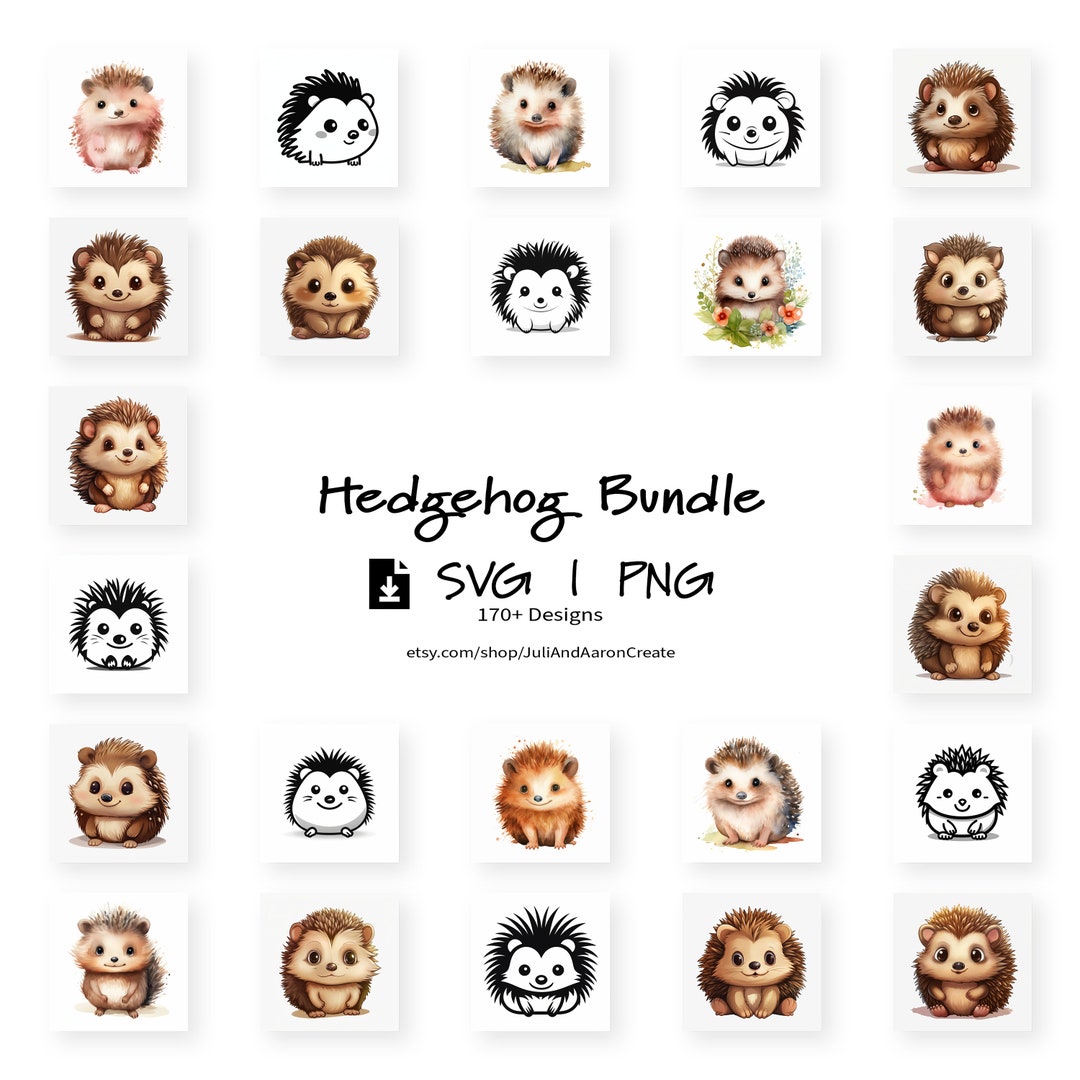 Hedgehog SVG & PNG | 1x1 | Instant Digital Download - Etsy