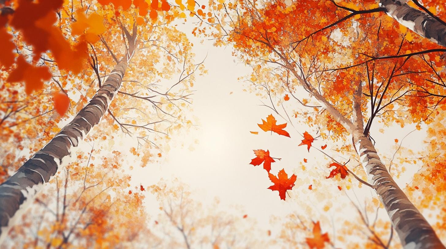 Autumn Thanksgiving Virtual Background Bundle | Work From Home Pngs ...