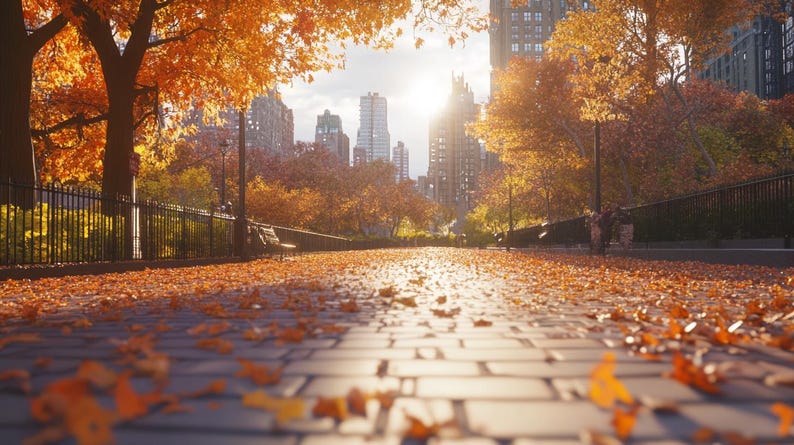 Autumn Thanksgiving Virtual Background Bundle | Work From Home Pngs ...