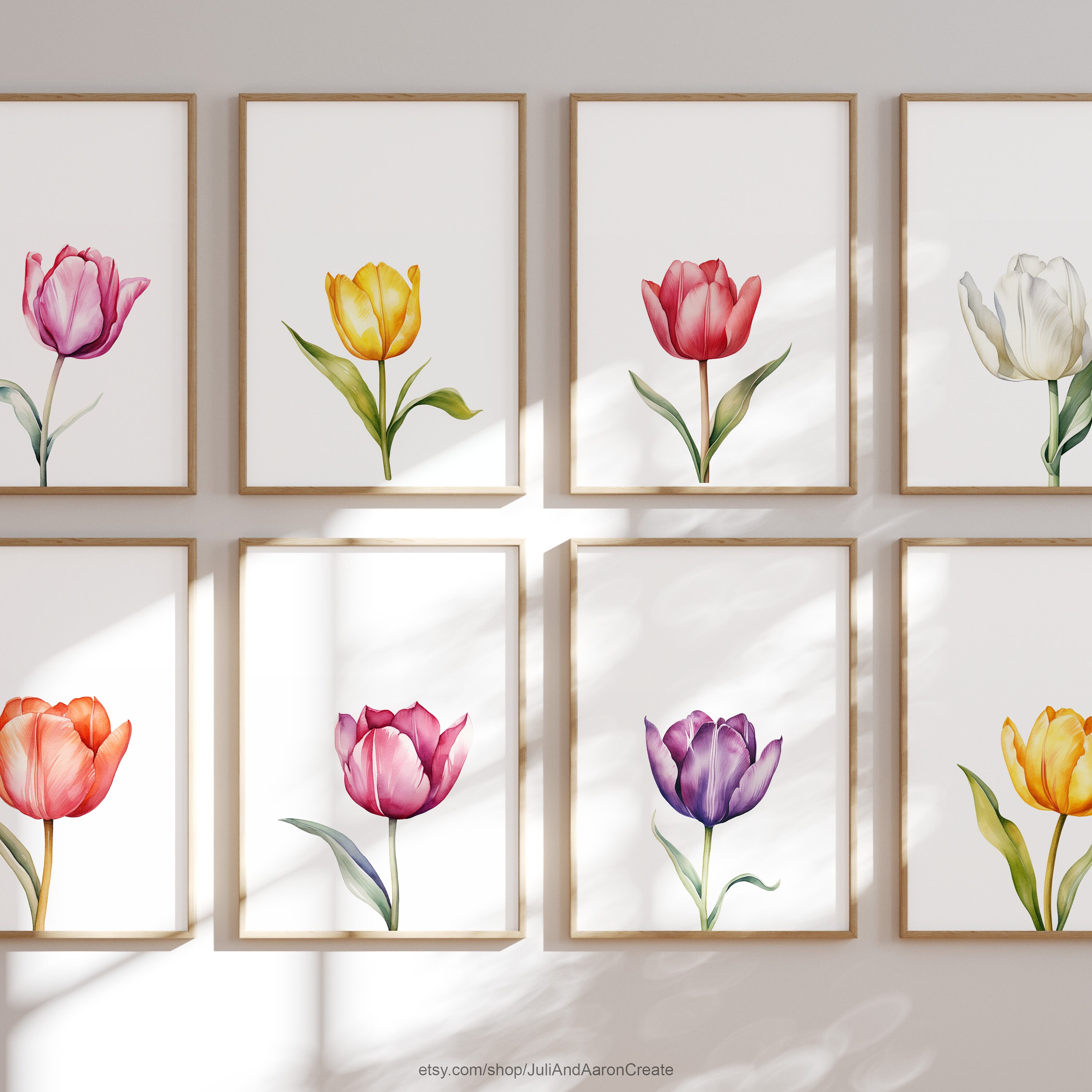 Watercolor Tulip Flower PNG | 1x1 | Instant Digital Download | Mothers ...
