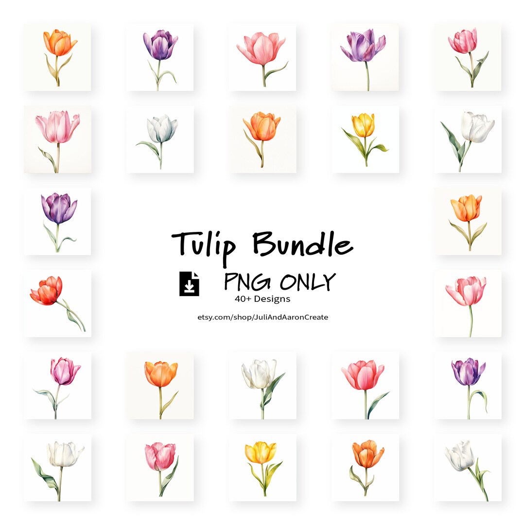 Watercolor Tulip Flower PNG | 1x1 | Instant Digital Download | Mothers ...