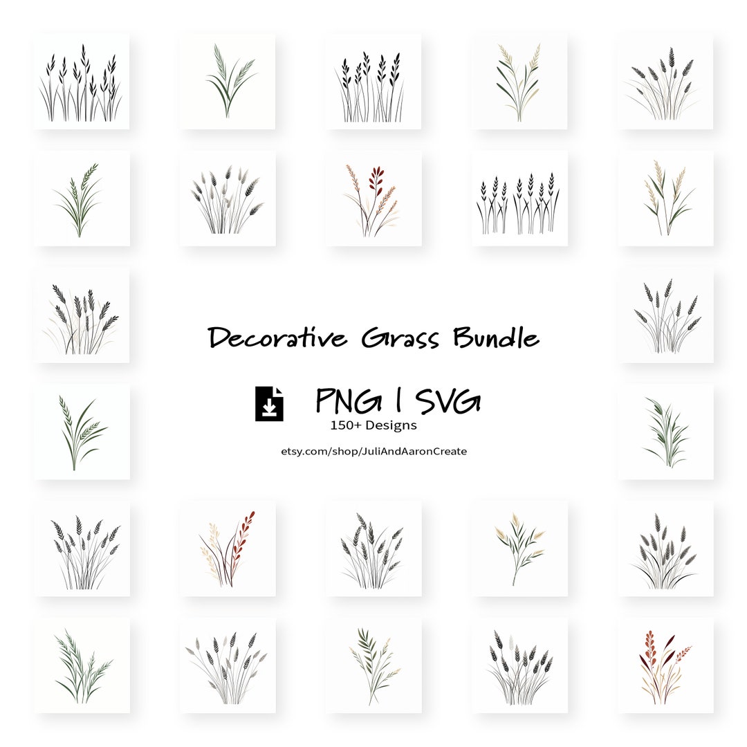 Decorative Grass | Ornamental Grass | PNG & SVG | 1x1 | Instant Digital ...