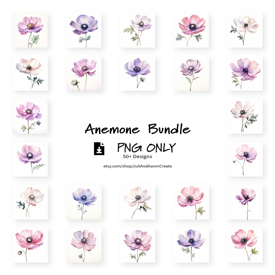 Watercolor Anemone Flower PNG | 1x1 | Instant Digital Download ...