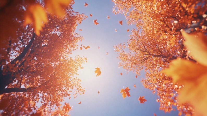 Autumn Thanksgiving Virtual Background Bundle | Work From Home Pngs ...