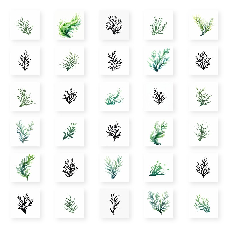 Seaweed SVG & PNG | 1x1 | Instant Digital Download - Etsy