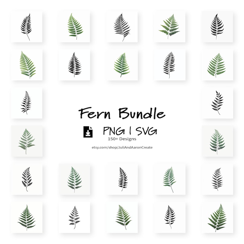 Fern SVG & PNG | 1x1 | Instant Digital Download - Etsy
