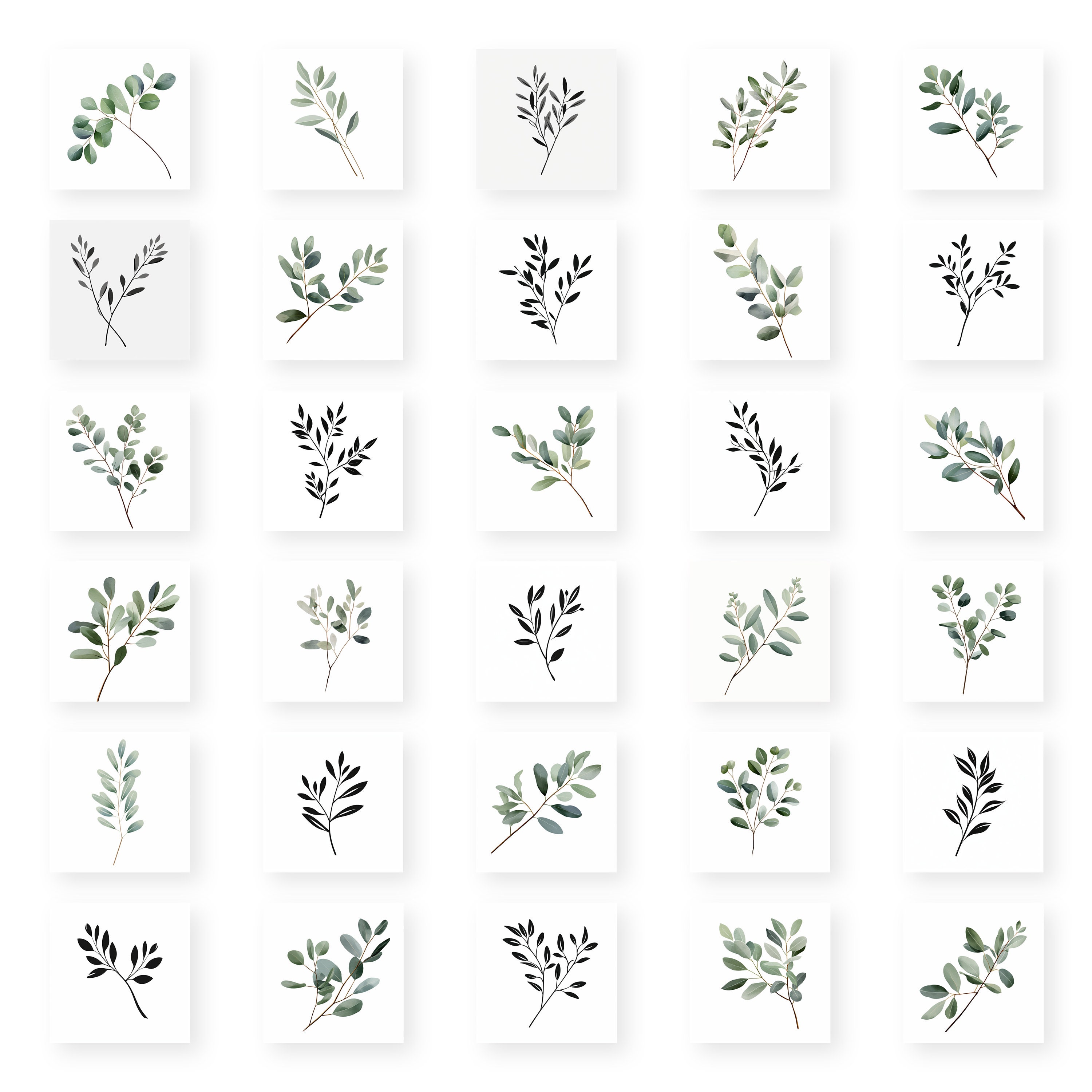 Eucalyptus SVG & PNG | 1x1 | Instant Digital Download - Etsy