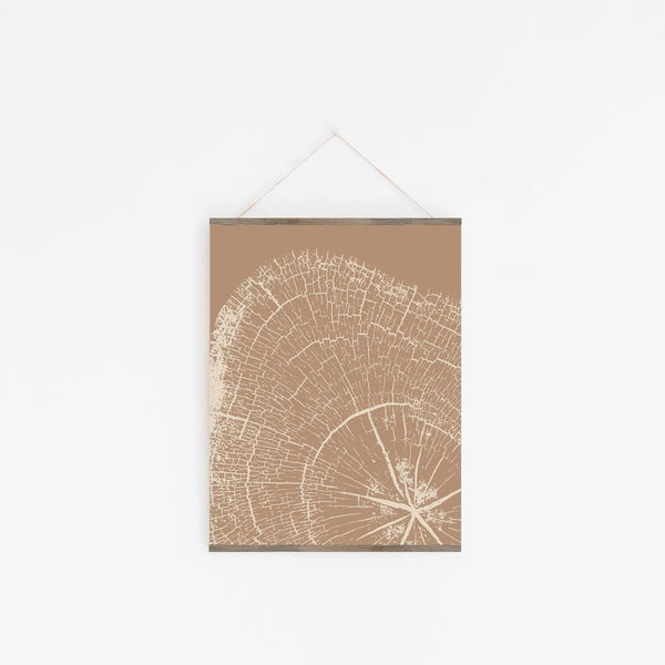 Tree Ring Print - Etsy