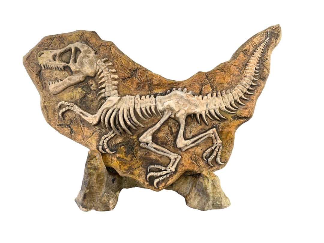 Dinosaur Fossil Sculpture – Raptor Skeleton as Decoration, Dino Figure ...