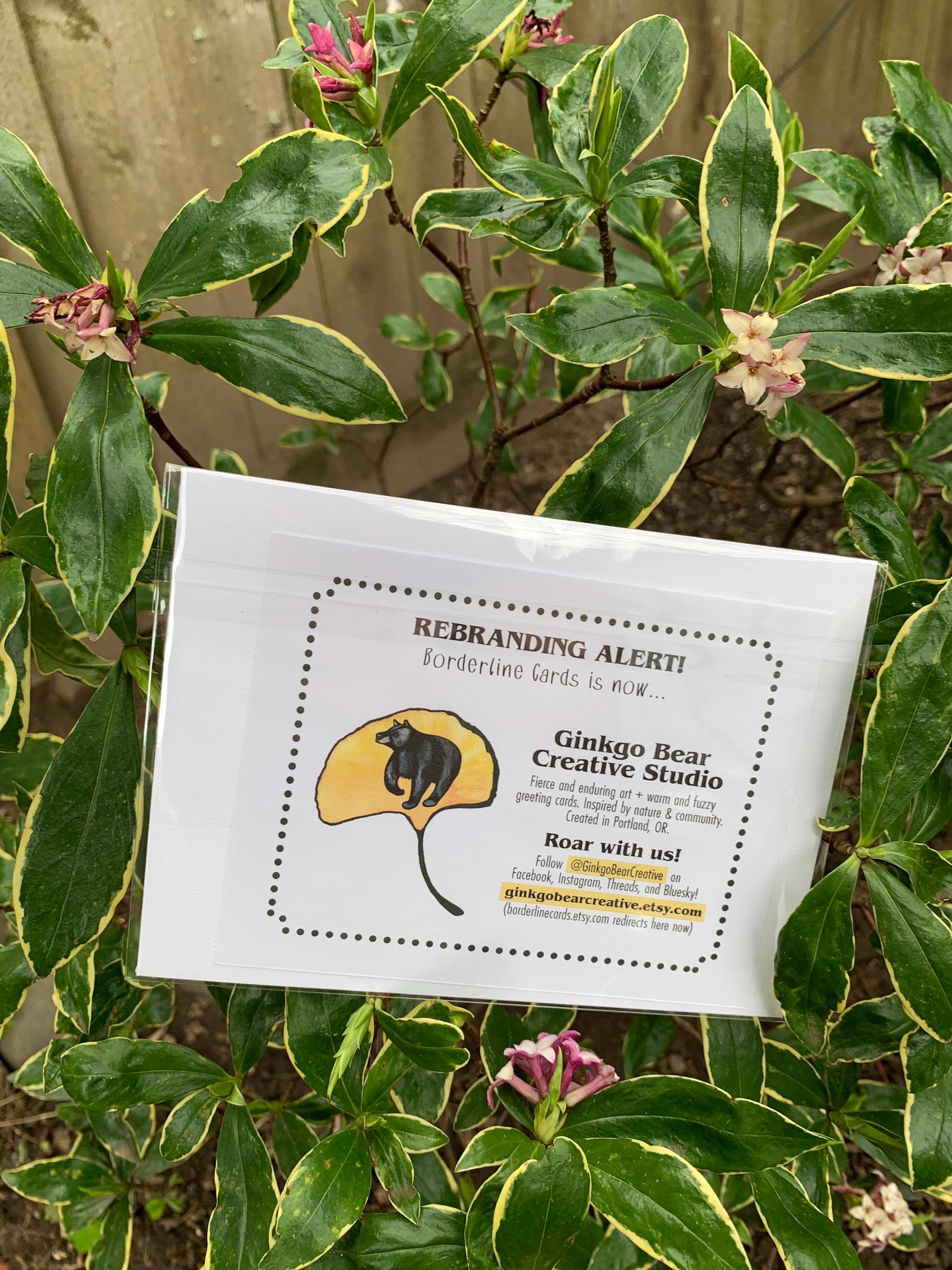 Awesome Possum Birthday Card — Hand Drawn Party Possums! - Etsy