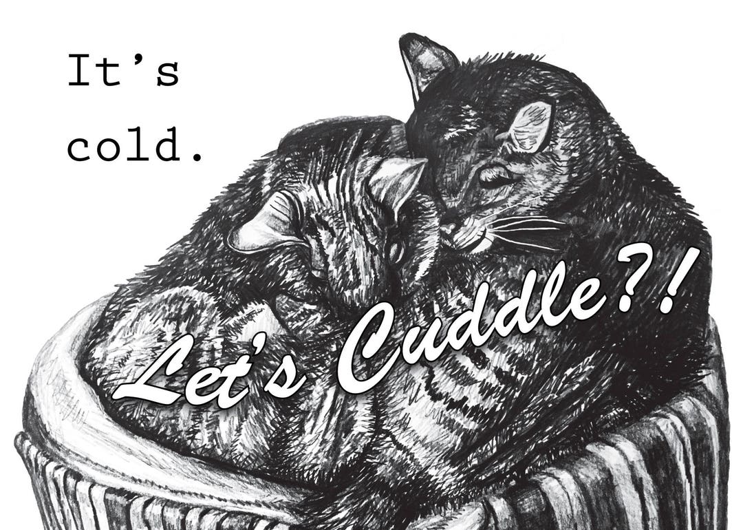 Hand-drawn Greeting Card: It's Cold. Let's Cuddle?! Blank Inside for ...