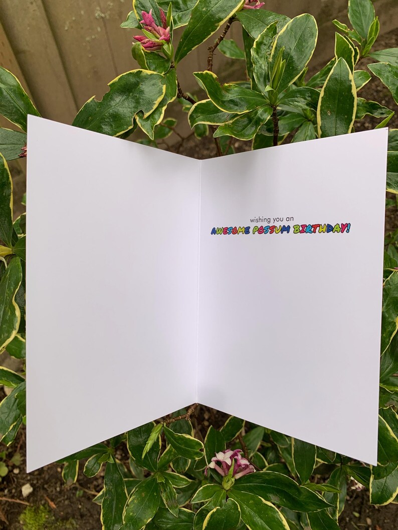 Awesome Possum Birthday Card — Hand Drawn Party Possums! - Etsy