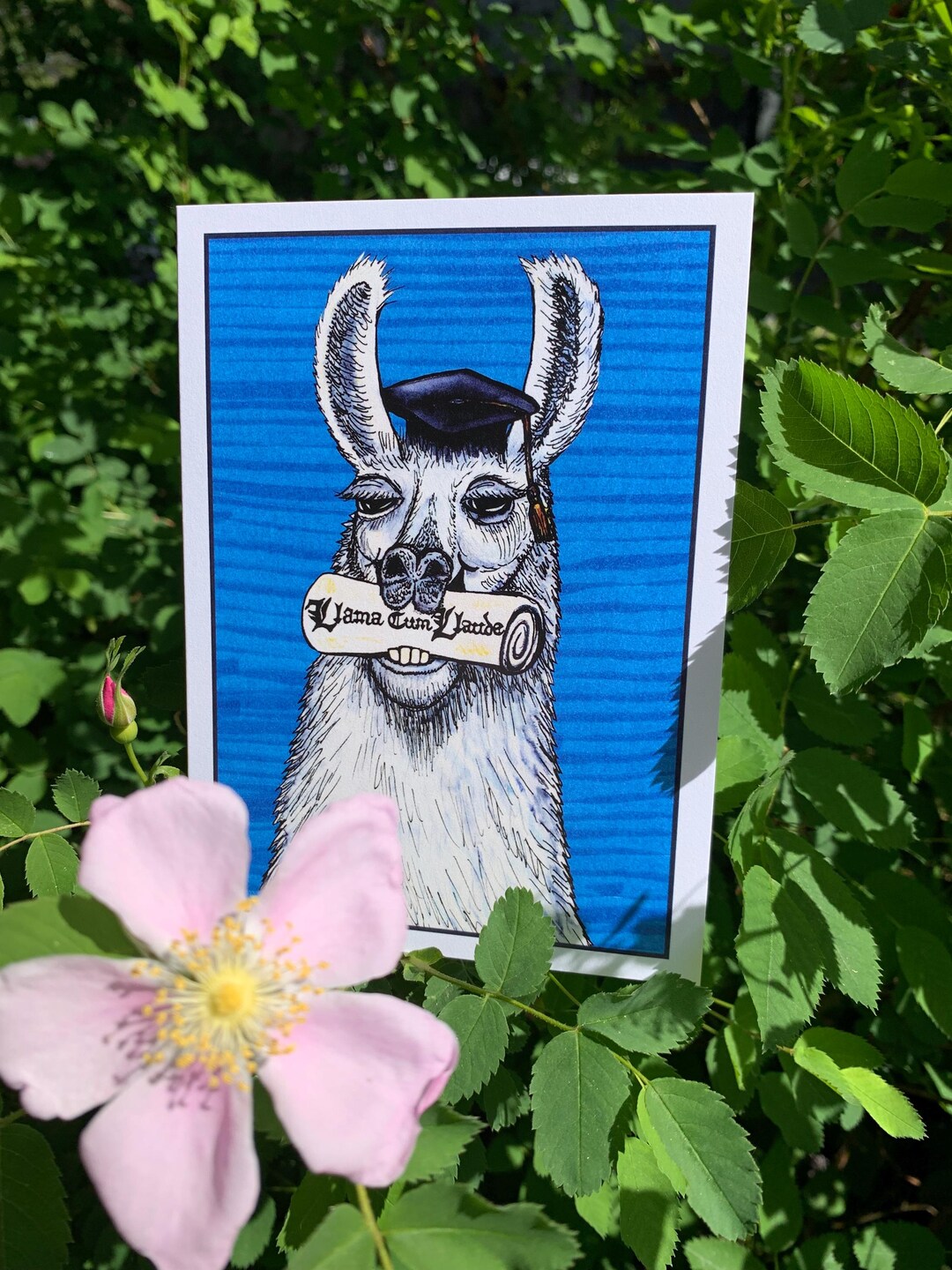 Graduation Dipllama Card! (llama in Graduation Hat) - Etsy