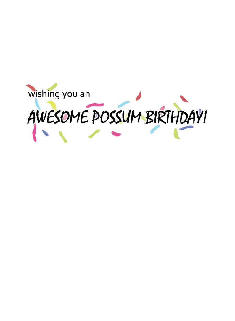 Awesome Possum Birthday Cardhand Drawn Party Possums - Etsy