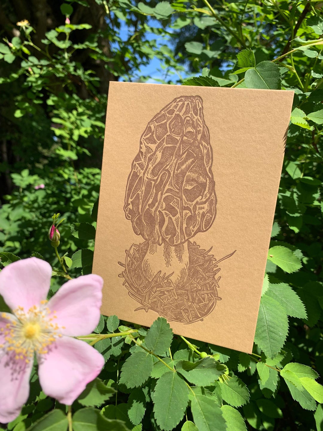 Morel Support Letterpress Card With Matching Envelope - Etsy