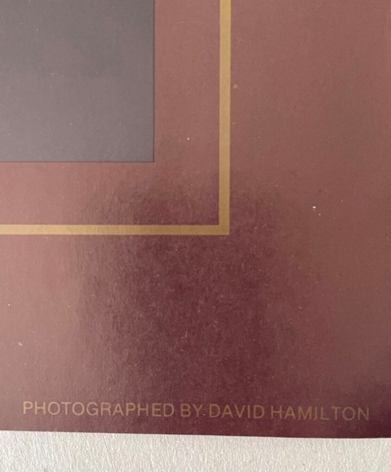David Hamilton Photography,annette,reflections,rare Authentic 1976 ...