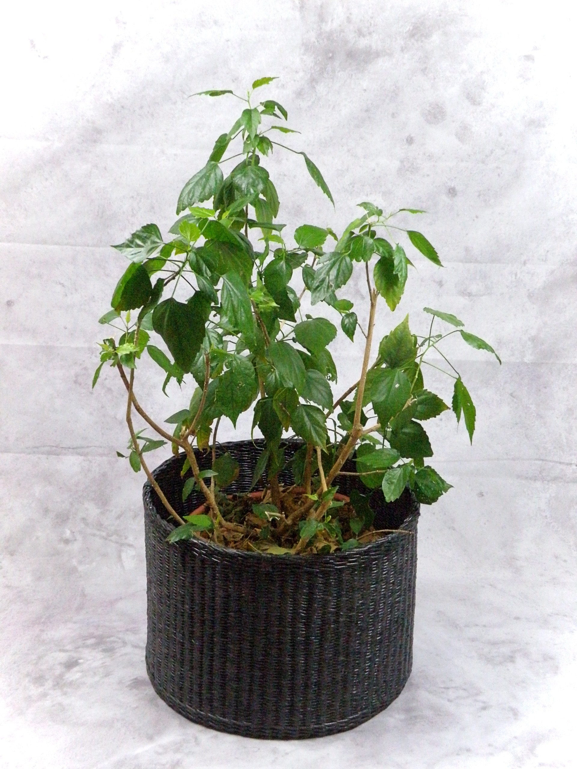 Large Planters Basket Woven Storage Basket Laundry Wicker Round Basket ...