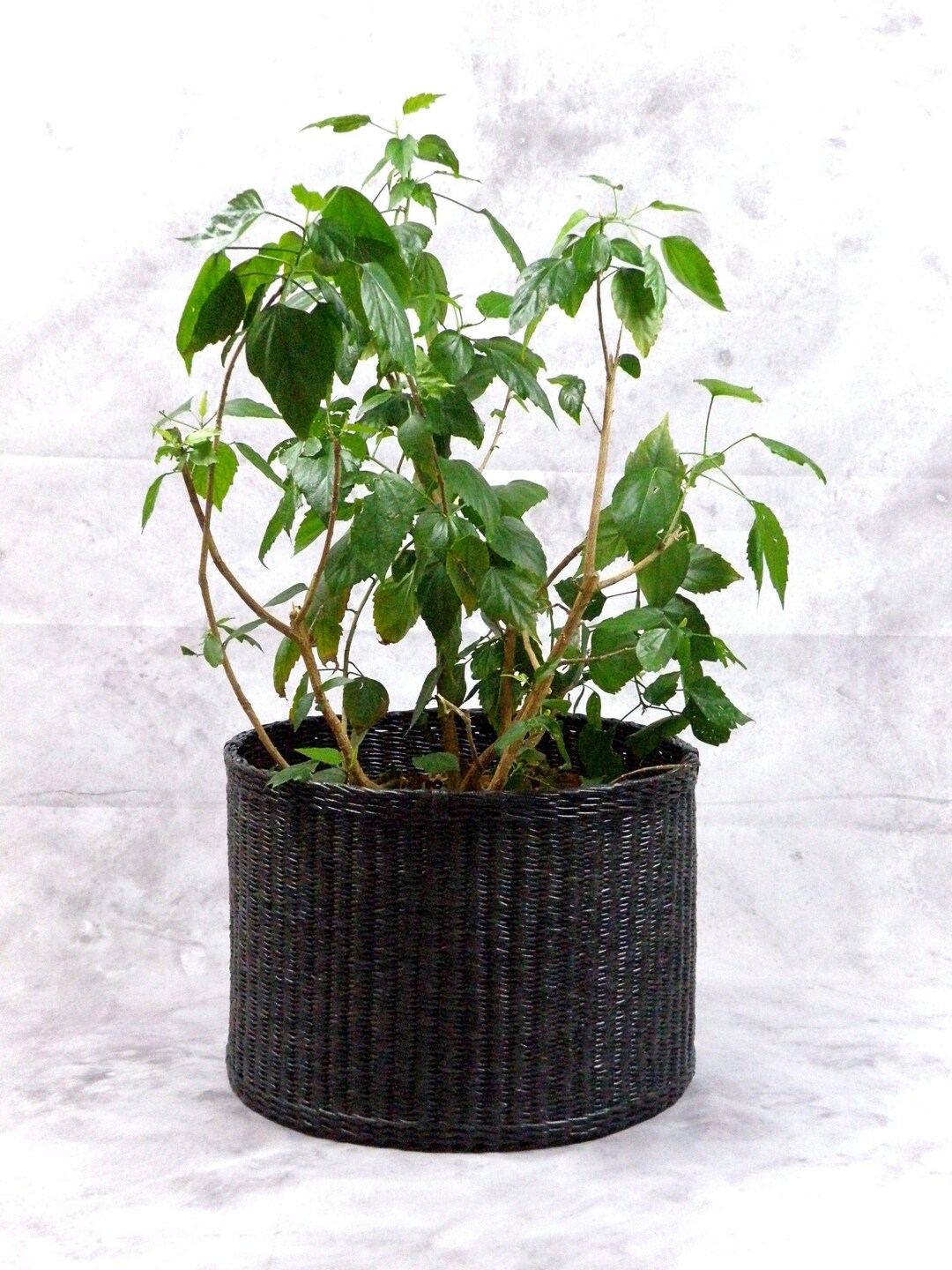 Large Planters Basket Woven Storage Basket Laundry Wicker - Etsy