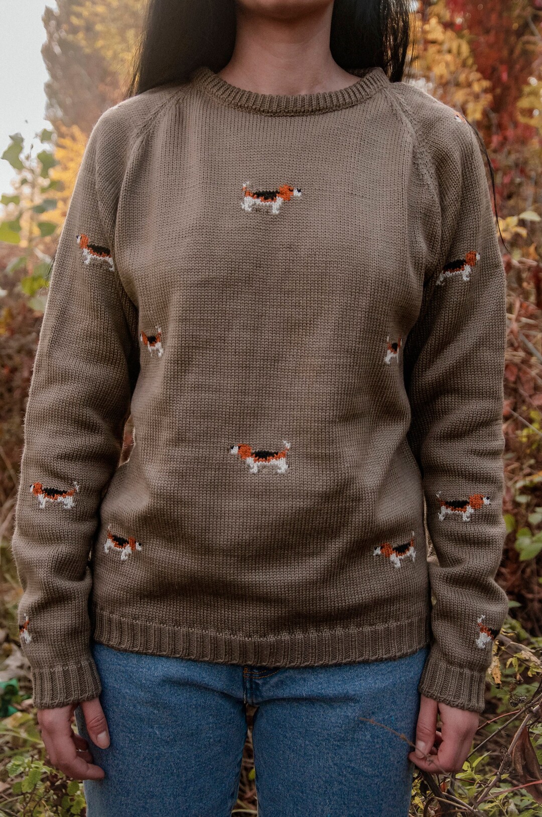 Beagle Sweater Minimalist Dog Lover Sweater Hand Knitted Pullover Dog ...