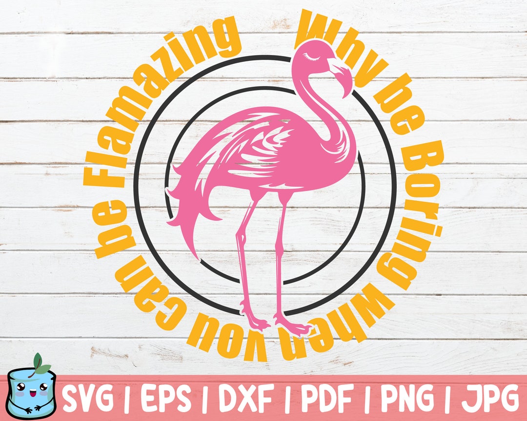 Why Be Boring When You Can Be Amazing SVG Cut File Summer SVG Instant ...