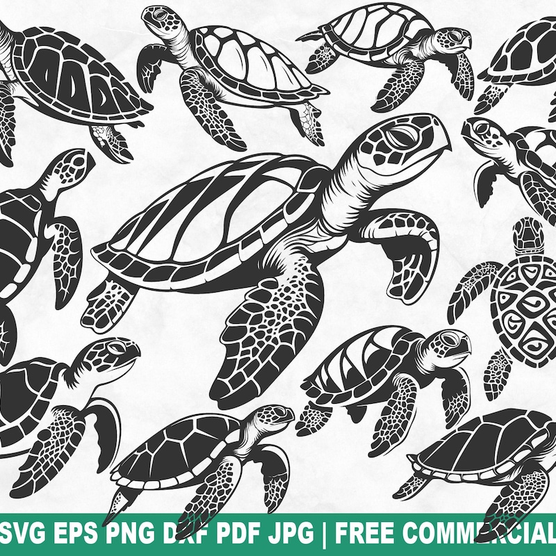 Sea Turtle Svg - Etsy