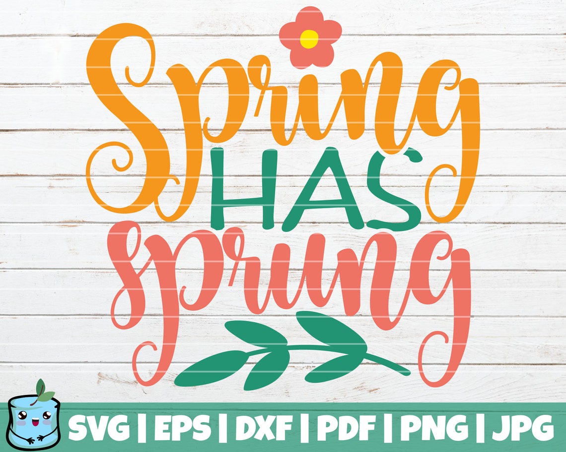Spring SVG Bundle Spring Flowers SVG Cut Files Commercial - Etsy