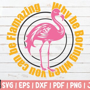 Sassy Flamingo SVG Bundle Summer SVG Cut Files Instant Download ...