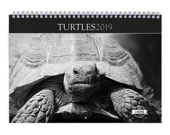 Turtle calendar | Etsy