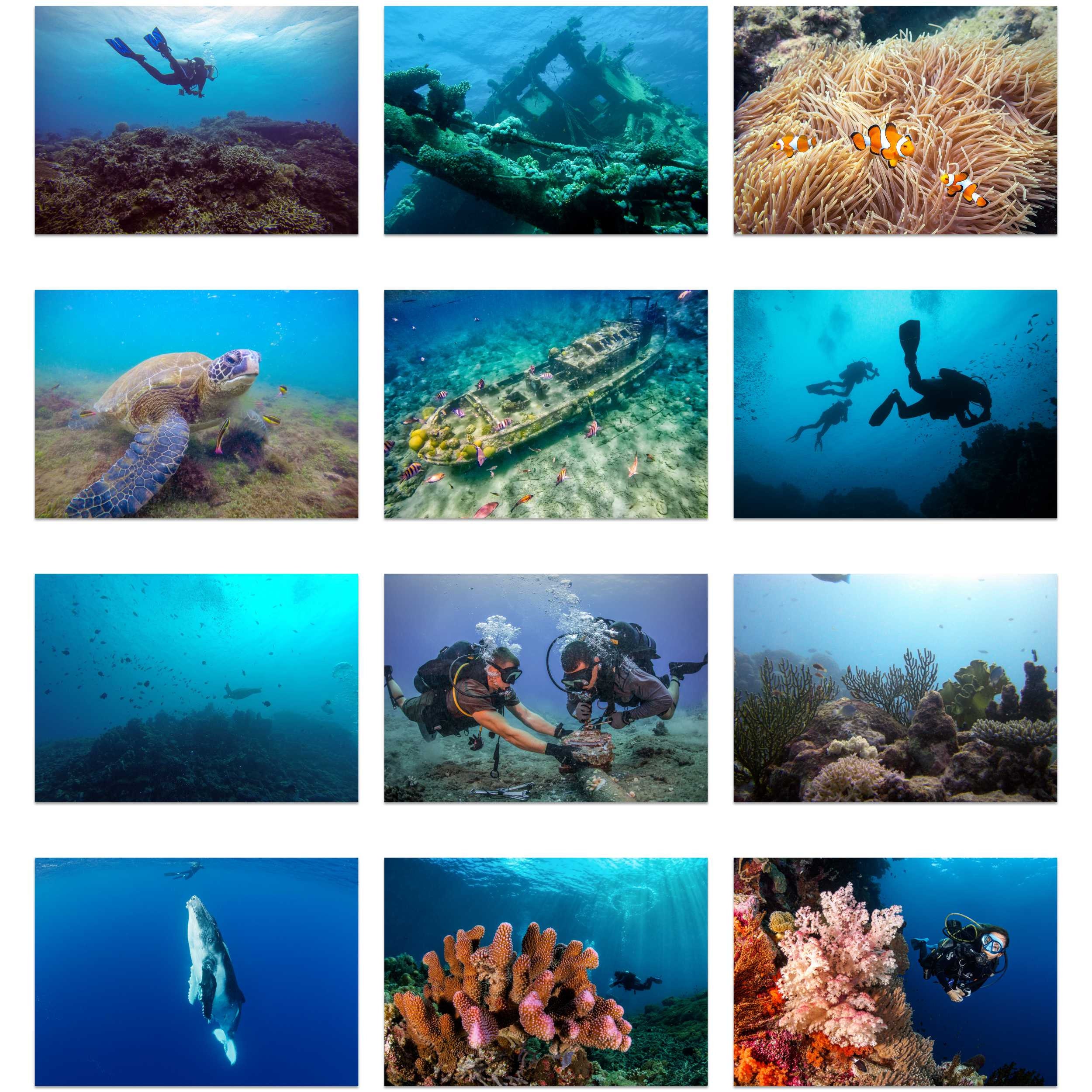 Diving 2024 Wall Calendar sold by Bored Marisa | SKU 97159789 | 50% OFF ...