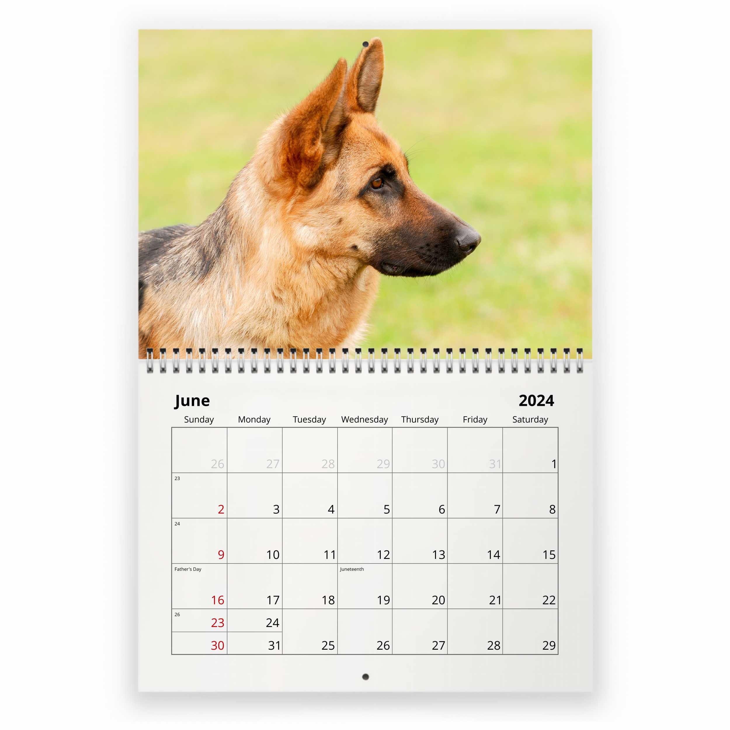 German Shepherd 2024 Wall Calendar sold by Bored Marisa | SKU 97160007 ...