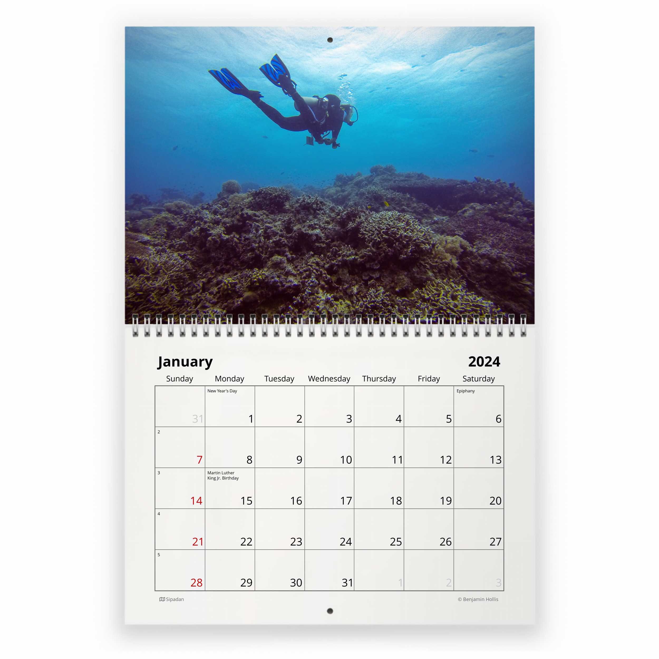 Diving 2024 Wall Calendar sold by Bored Marisa | SKU 97159789 | 50% OFF ...