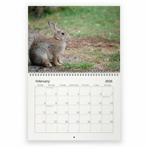 Rabbit 2026 Wall Calendar ID:W26116 - Etsy