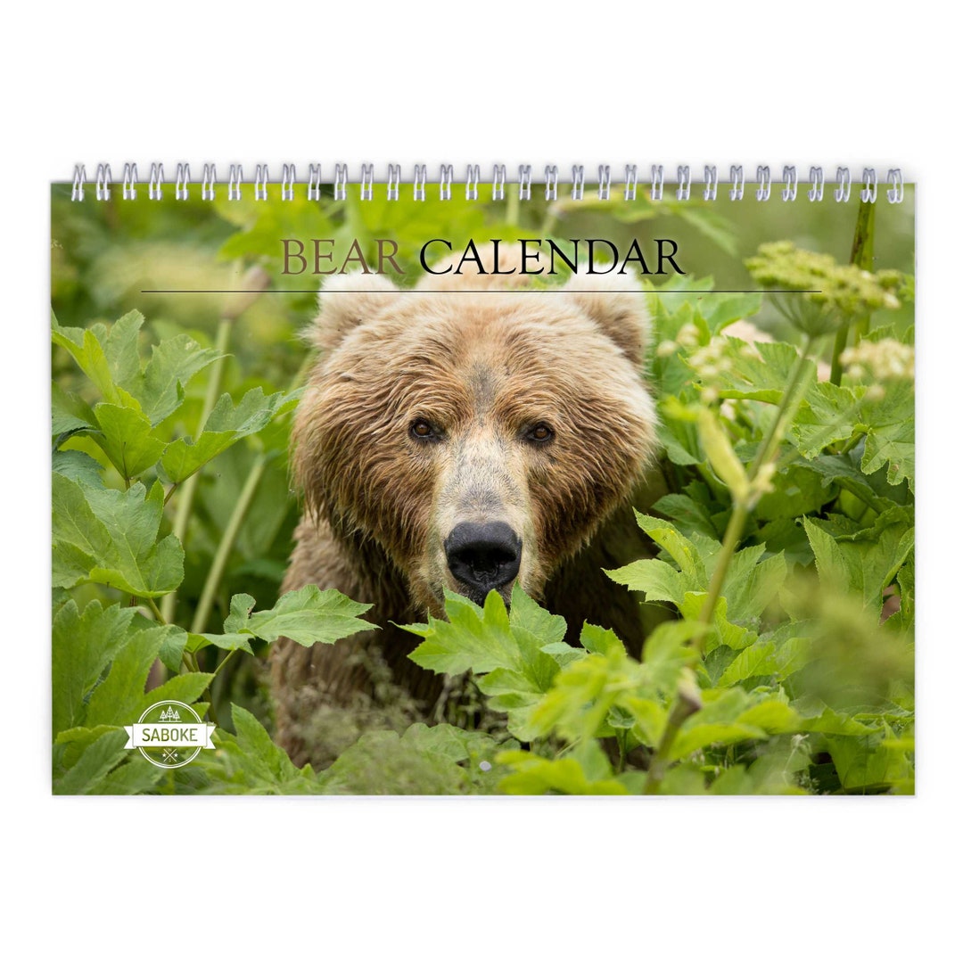 Bear 2024 Wall Calendar ID:W23002 - Etsy