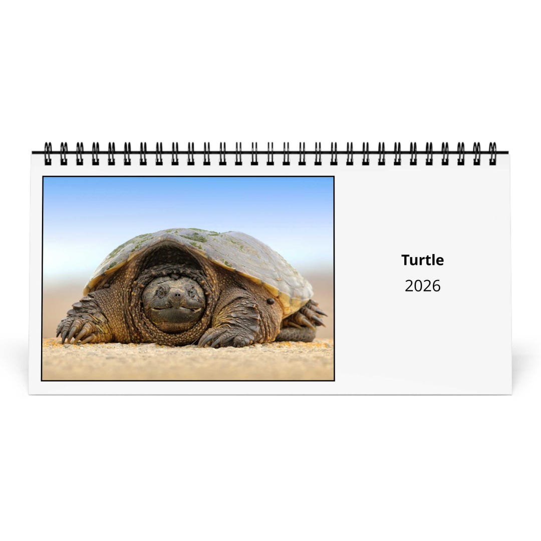 Turtle 2026 Desk Calendar ID:L23114 - Etsy