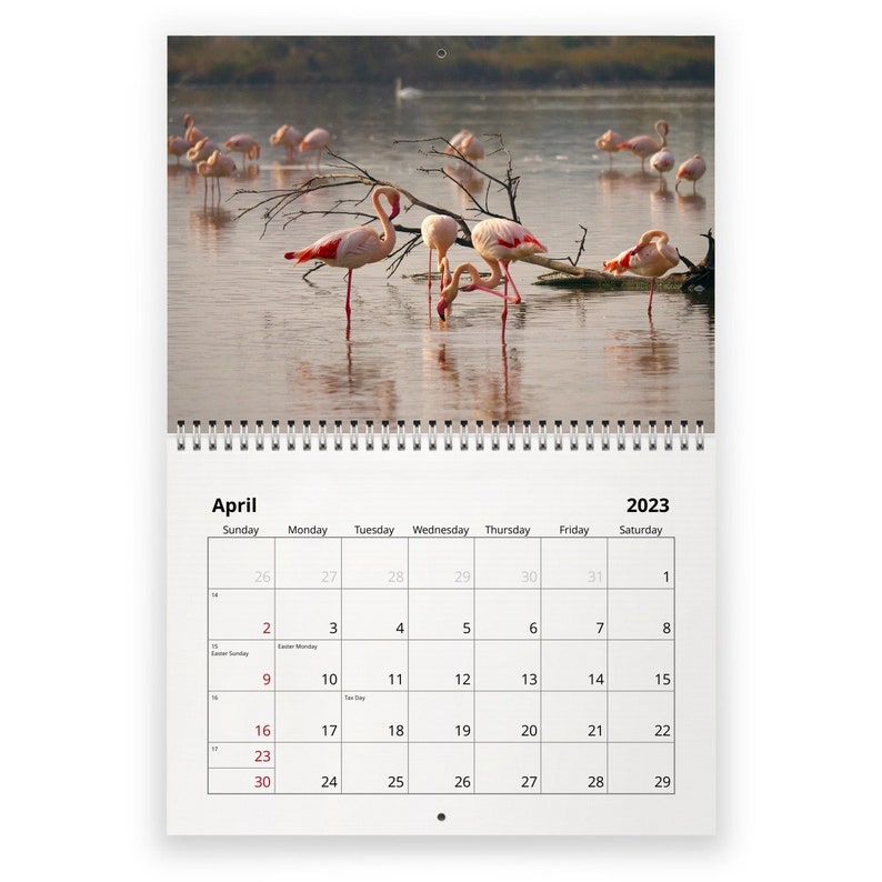 Flamingo 2023 Wall Calendar ID:12782 - Etsy