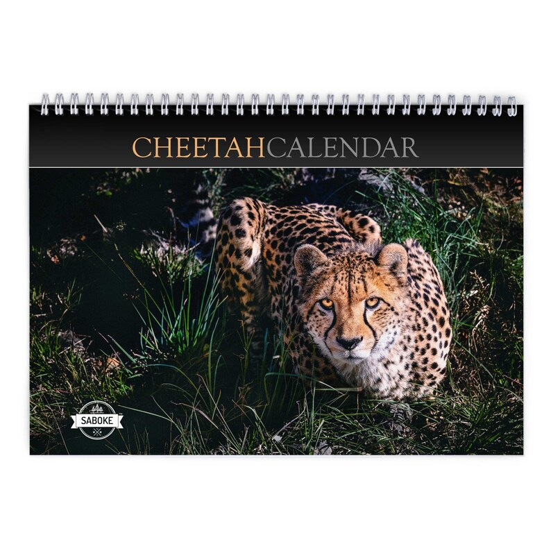 Cheetah 2024 Wall Calendar ID:W23021 - Etsy