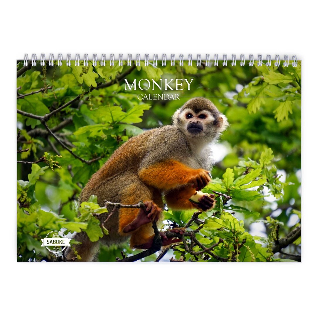 Monkey 2025 Wall Calendar ID:W23012 - Etsy