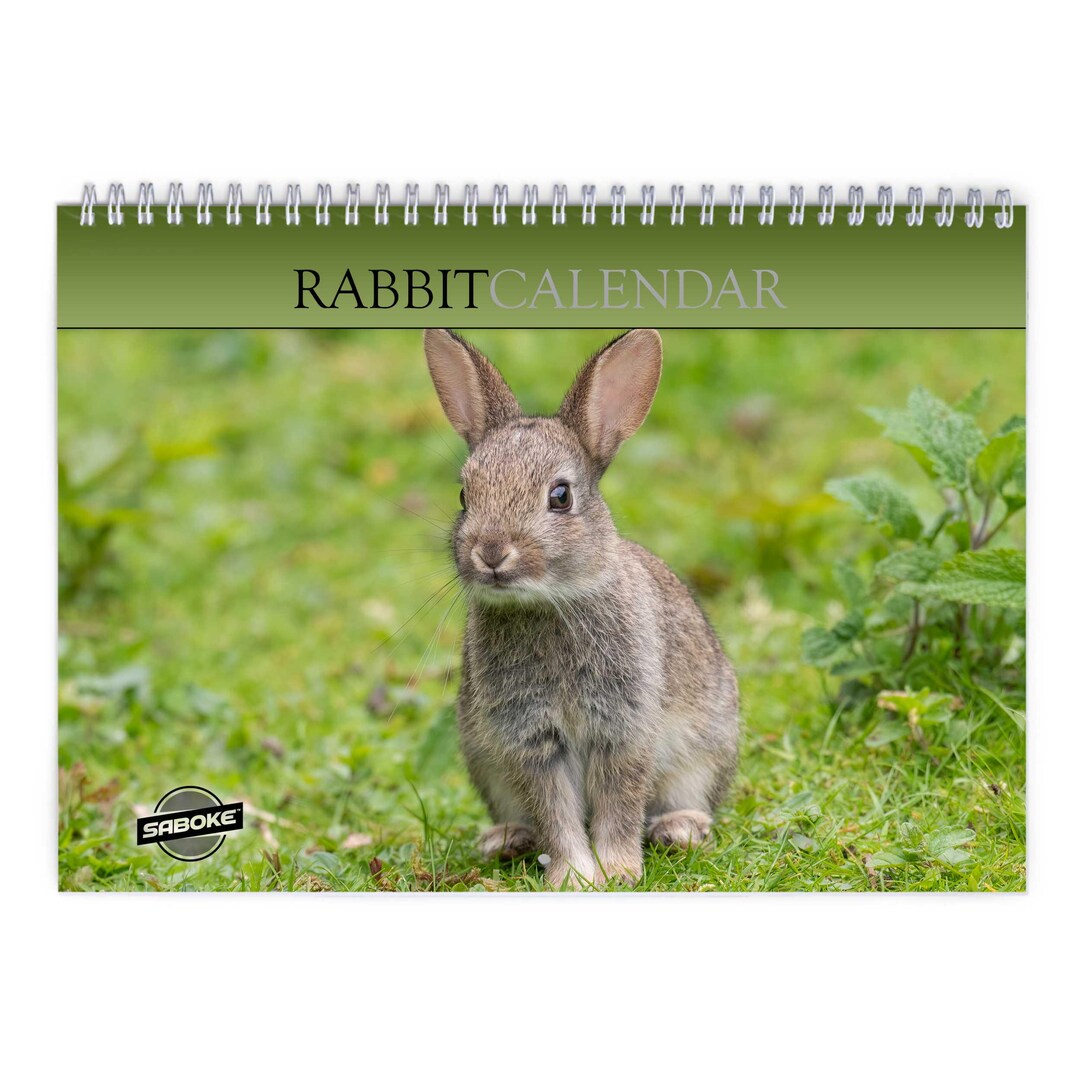 Rabbit 2026 Wall Calendar ID:W26116 - Etsy