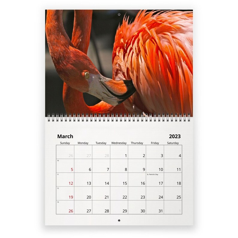 Flamingo 2023 Wall Calendar ID:12782 - Etsy