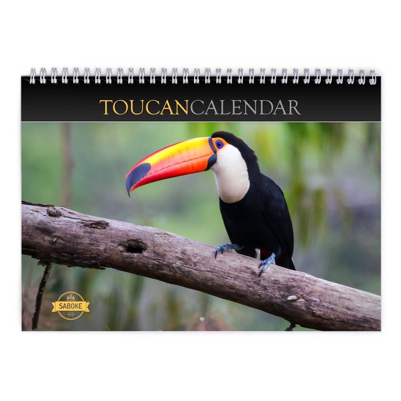 Toucan - Etsy