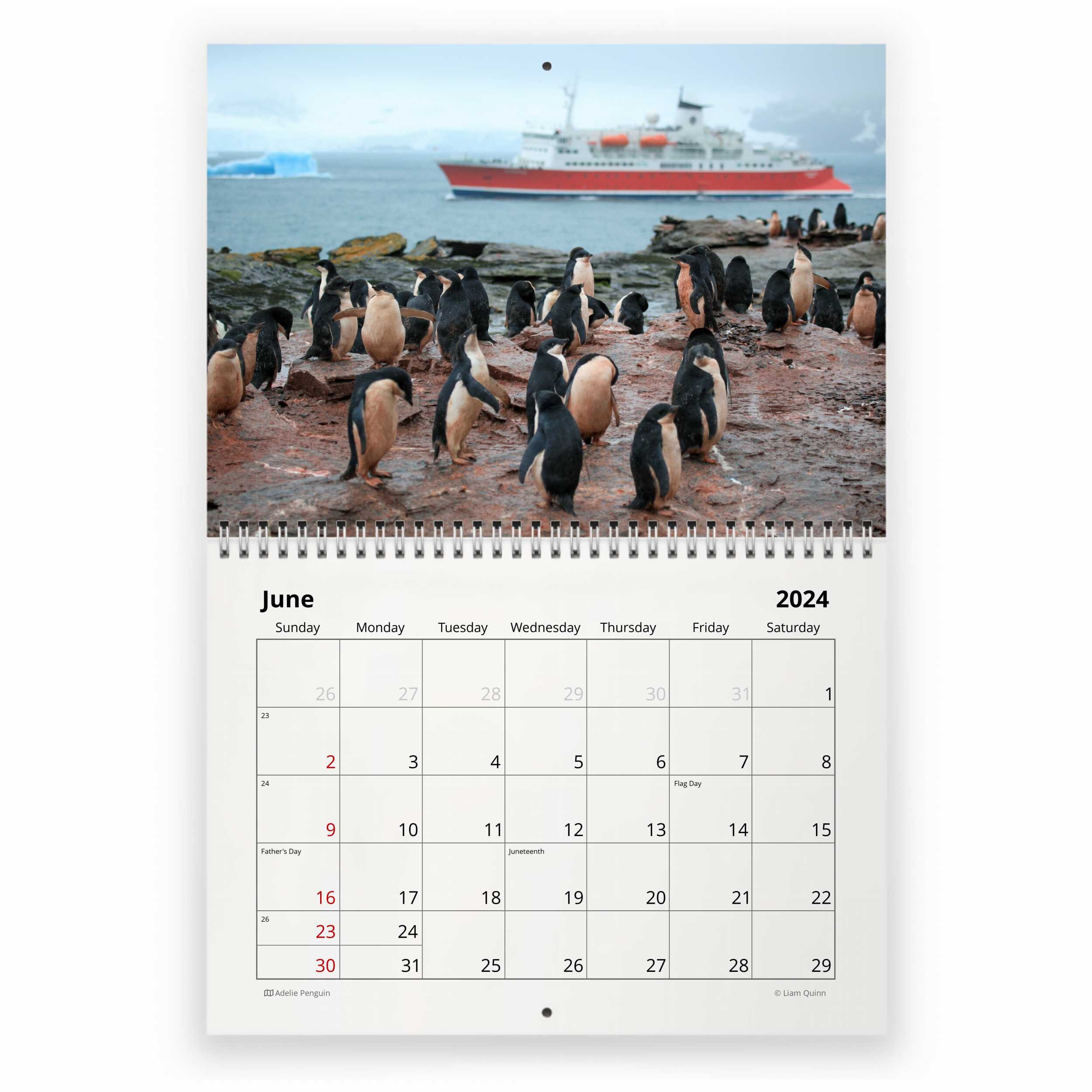 Penguin 2024 Wall Calendar sold by Bored Marisa | SKU 97159964 | Printerval