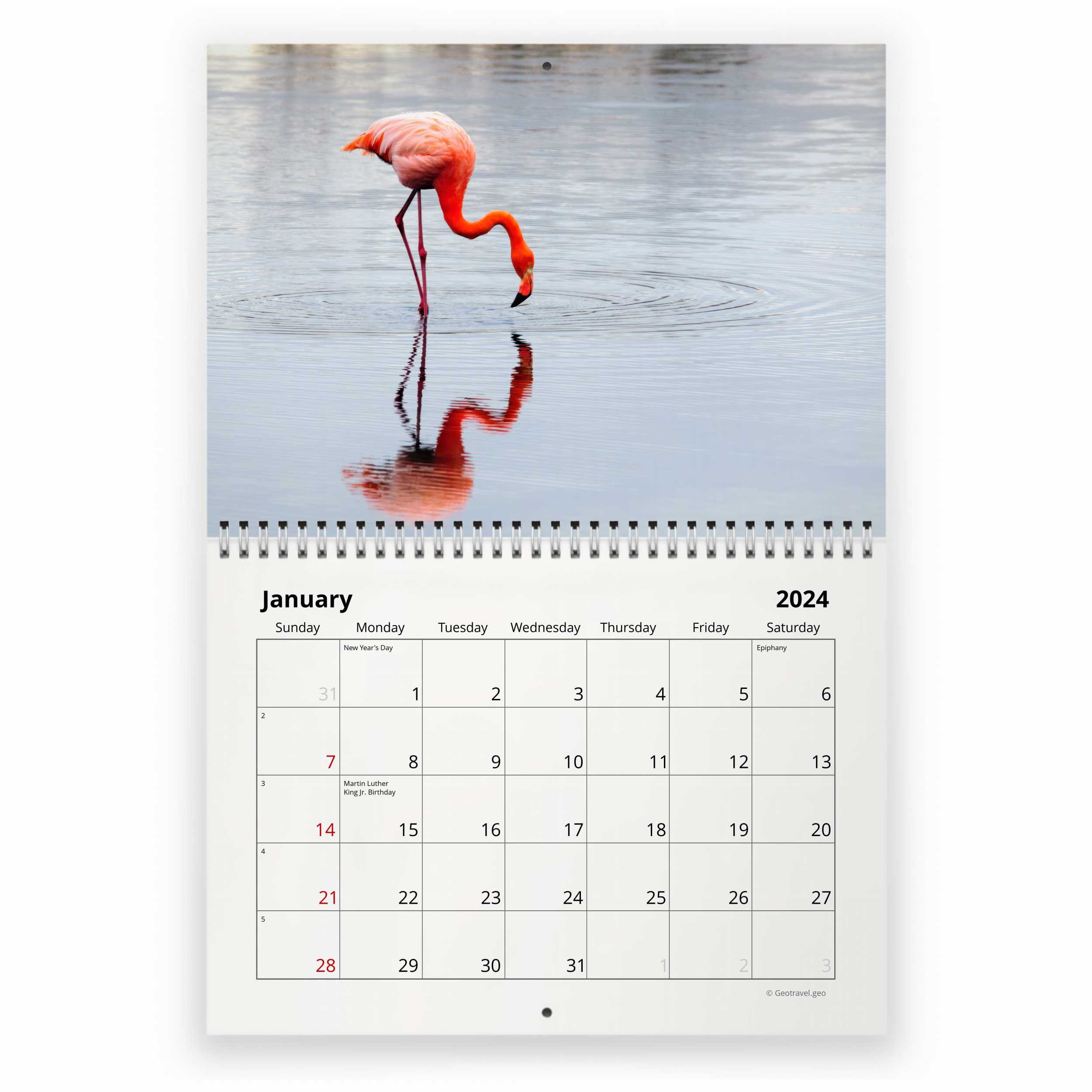 Flamingo 2024 Wall Calendar ID:W24077 - Etsy