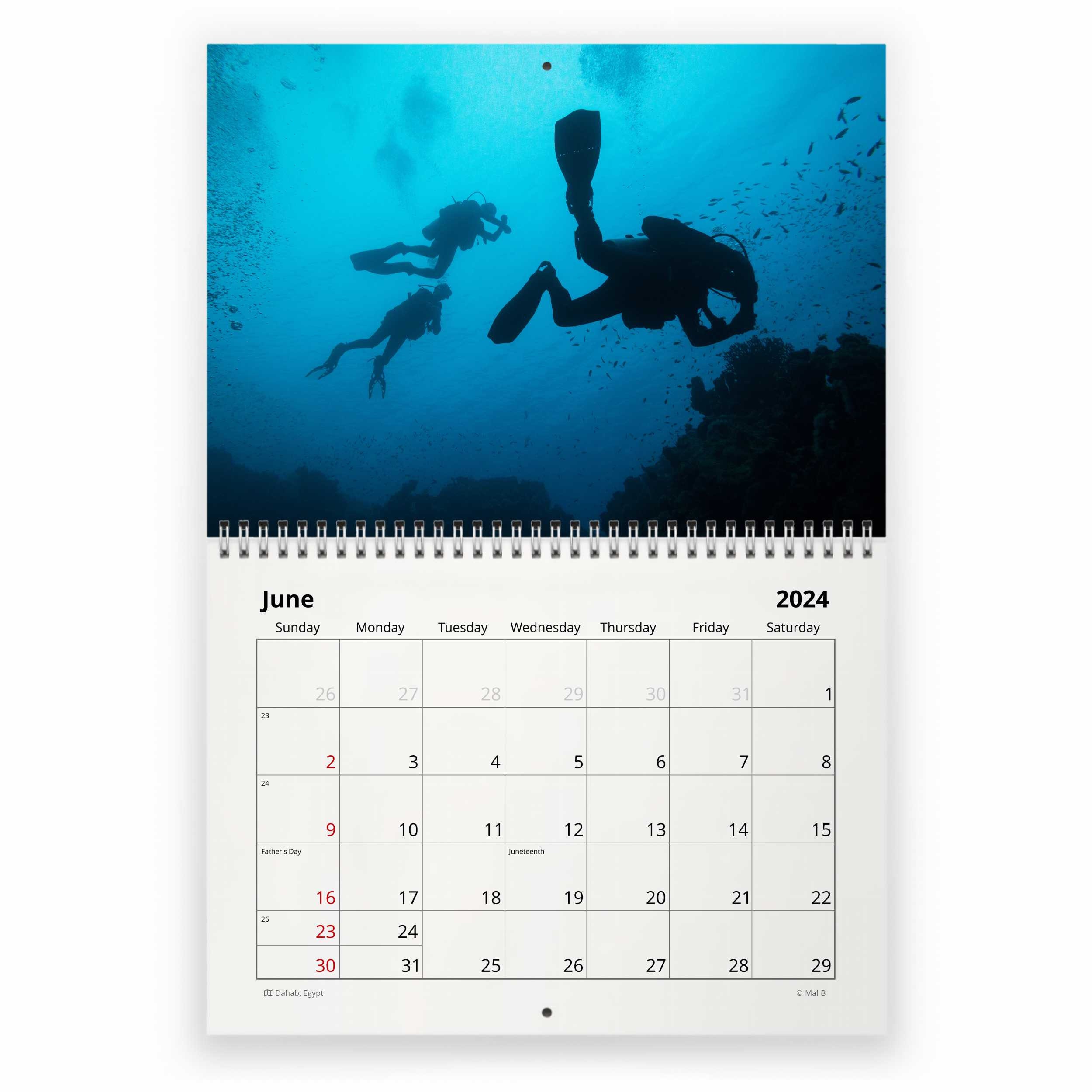 Diving 2024 Wall Calendar sold by Bored Marisa | SKU 97159789 | 50% OFF ...